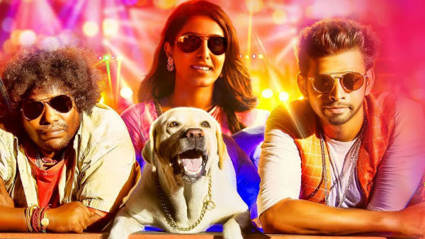 பப்பி சினிமா விமர்சனம் - ஆல்வேஸ் ஹேப்பி | Puppy Movie Review - Tamil ...