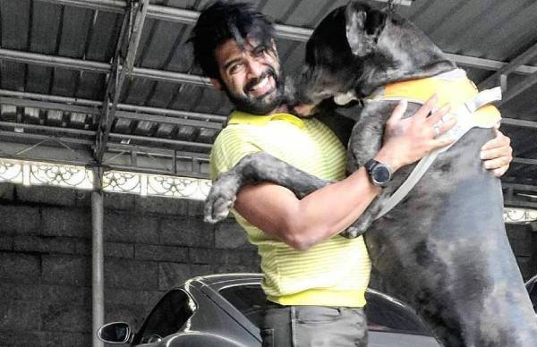 அடேங்கப்பா.. ஆள் உயரத்துக்கு இருக்கே..அருண் விஜயின் செல்ல நாய் ருத்ரா ...