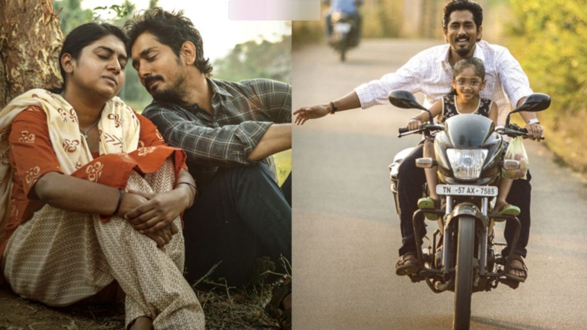 Chithha Box Office: பாக்ஸ் ஆபிஸில் மாஸ் காட்டிய சித்தா... கம்பேக் ...